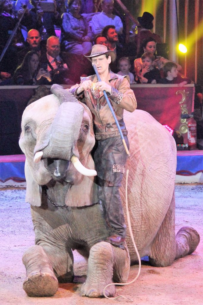 Erwin FRANKELLO (éléphants) – Festival International du Cirque du Val d ...
