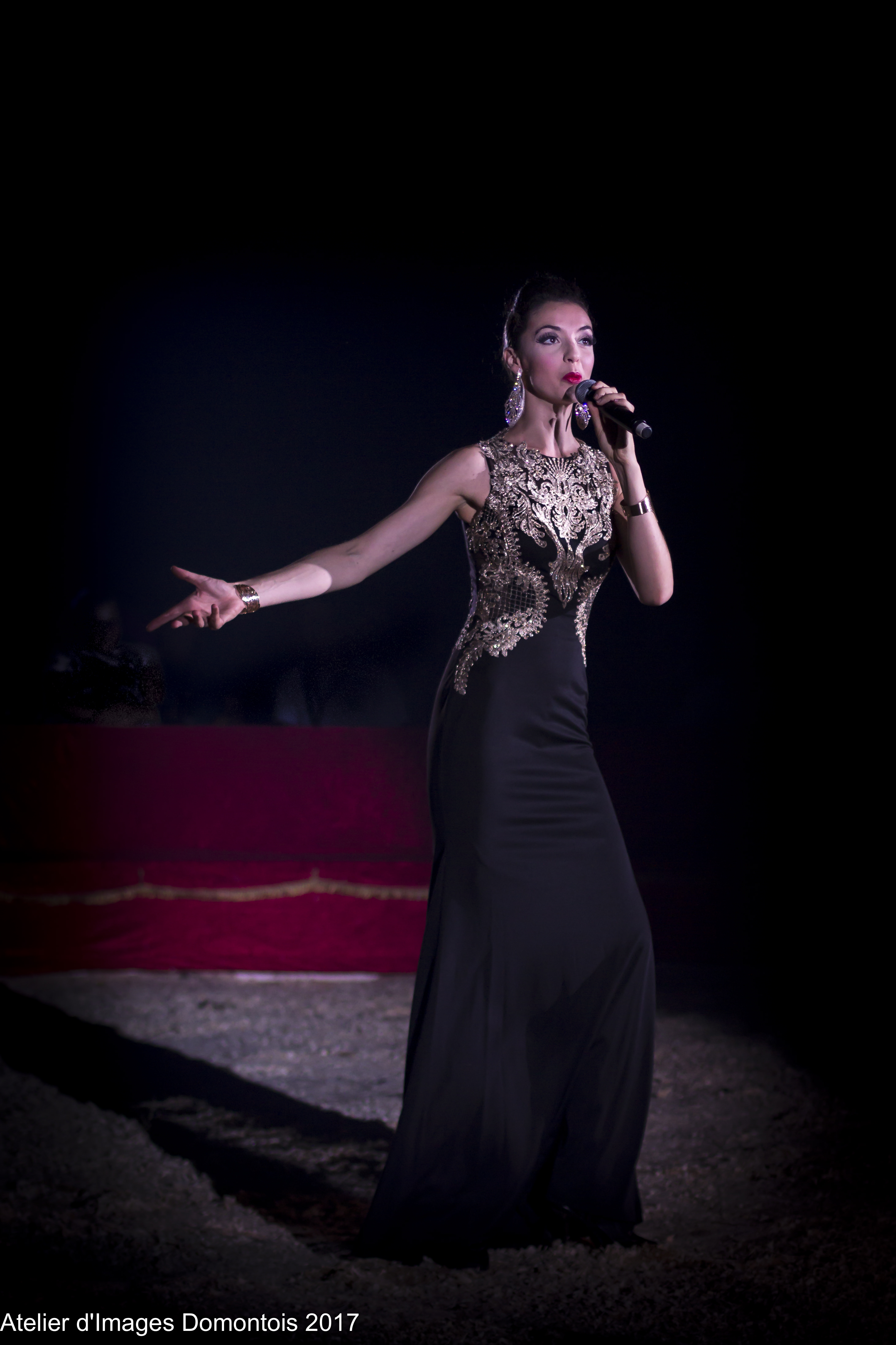 Elsa BONTEMPELLI (Madame Loyal) – Festival International du Cirque du ...